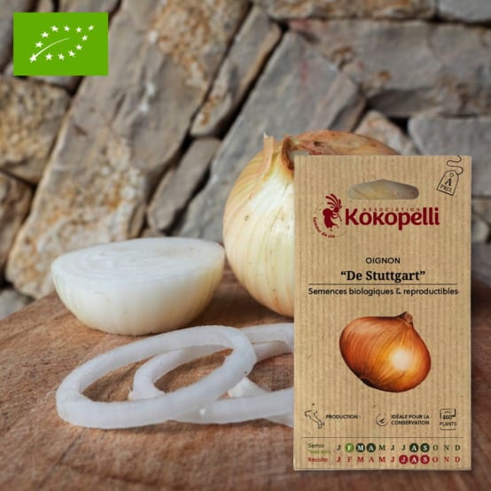 Oignon De Stuttgart- Graines bio à semer - Gamm vert
