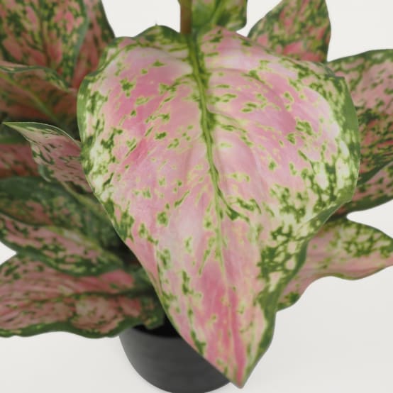 Croton artificiel rose 55cm Ligne Déco - Gamm vert