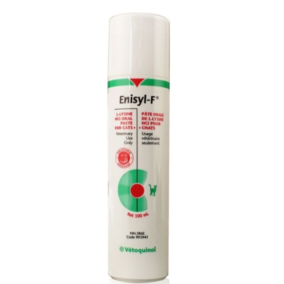 ENISYL-F PATE ORALE - VETOQUINOL 100 - Gamm vert