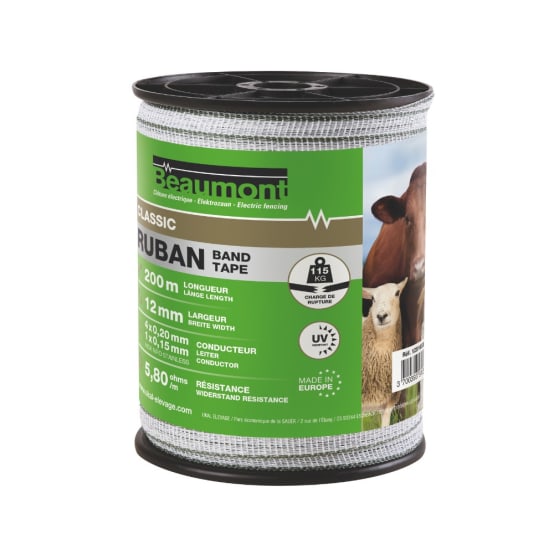 Ruban blanc/vert 12MM / 200M CLASSIC BEAUMONT - Gamm vert