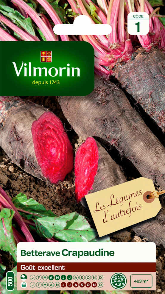 Betterave potagère rouge crapaudine série 1 sachet graines 4 g ...