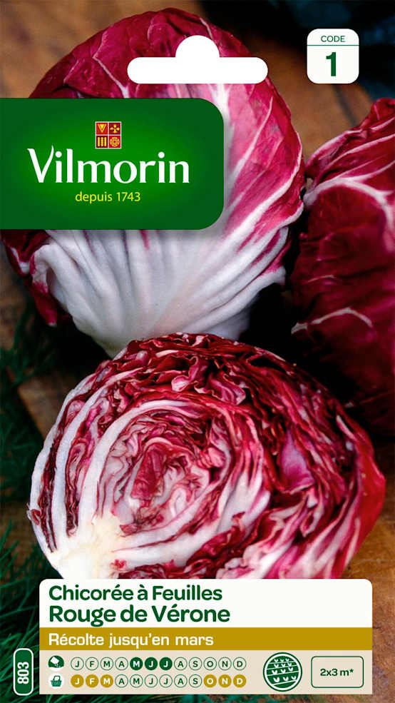 Chicorée à larges feuilles rouge de Vérone série 1 sachet graines 4 g ...