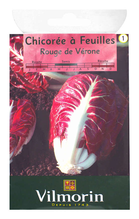 Chicorée à larges feuilles rouge de Vérone série 1 sachet graines 4 g ...