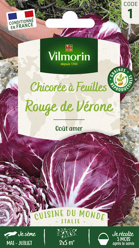 Chicorée à larges feuilles rouge de Vérone série 1 sachet graines 4 g ...