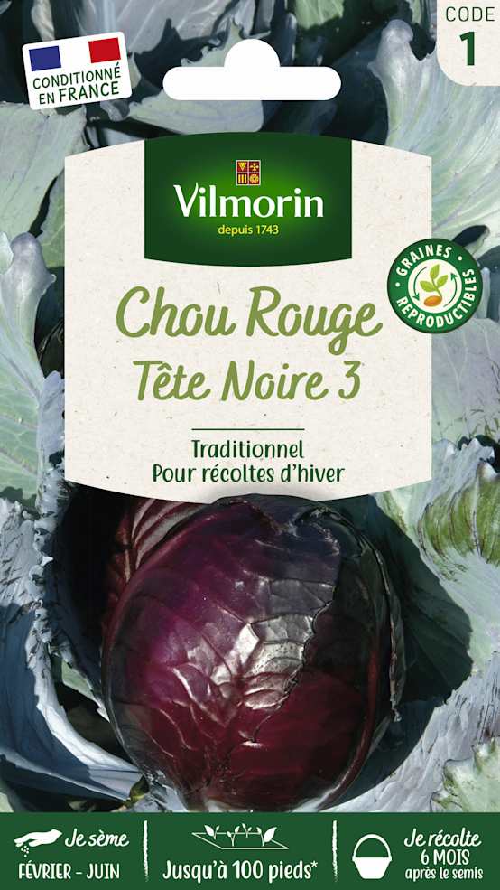 Chou rouge tête noire 3 série 1 sachet graines 2 g - Vilmorin - Gamm vert