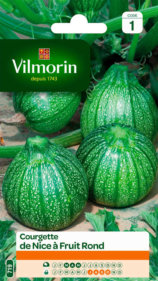 Courgette de Nice a fruit rond série 1 sachet graines 5 g - Vilmorin ...