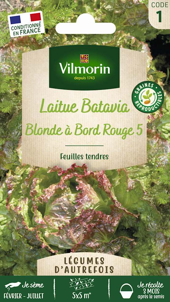 Laitue Batavia Blonde à Bord Rouge 5 serie 1 sachet graines 4 g ...