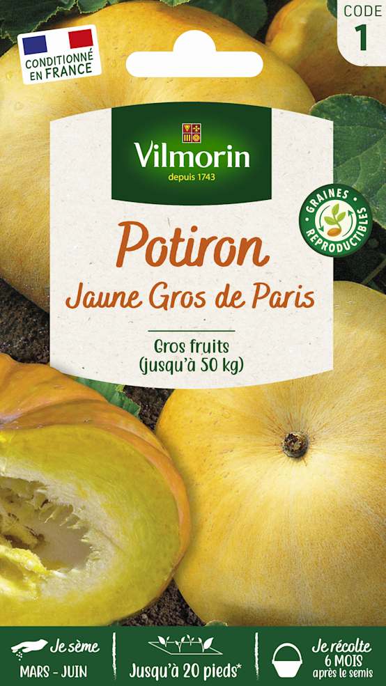Potiron jaune Gros de Paris série 1 sachet graines 6 g - Vilmorin ...