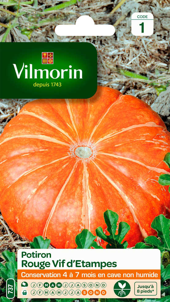 Potiron rouge vif d'Etampes série 1 sachet graines 6 g - Vilmorin ...