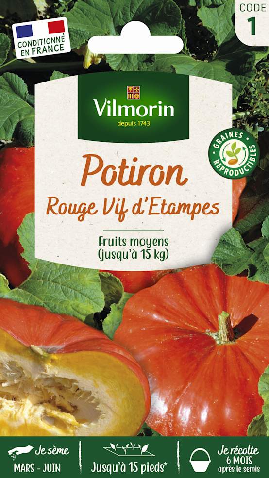 Potiron rouge vif d'Etampes série 1 sachet graines 6 g - Vilmorin ...