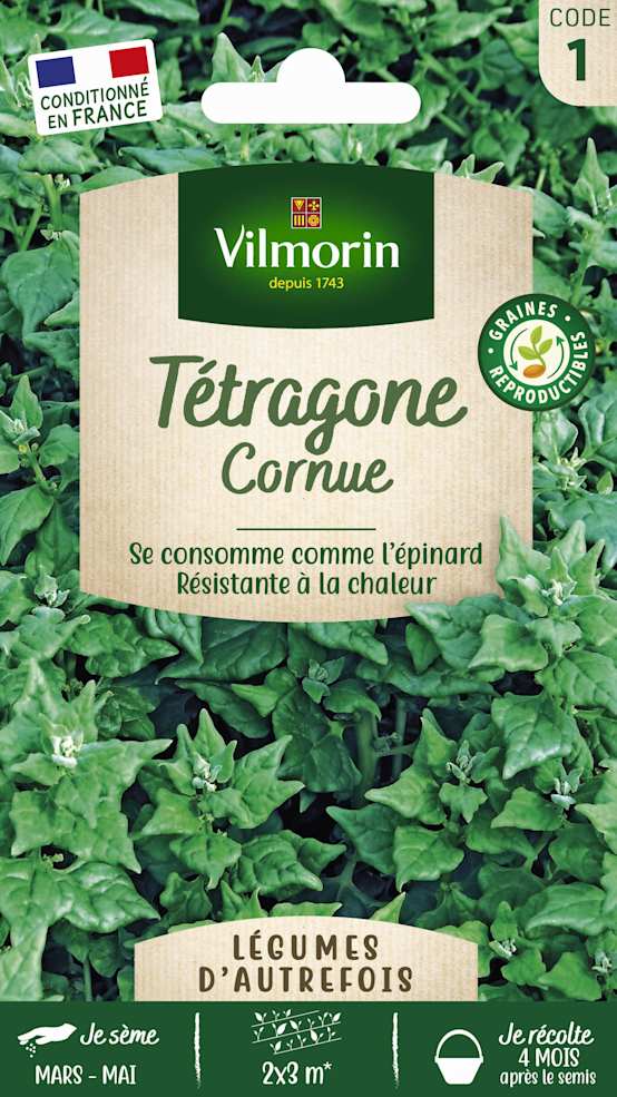 Tétragone cornue série 1 sachet graines 5 g - Vilmorin - Gamm vert