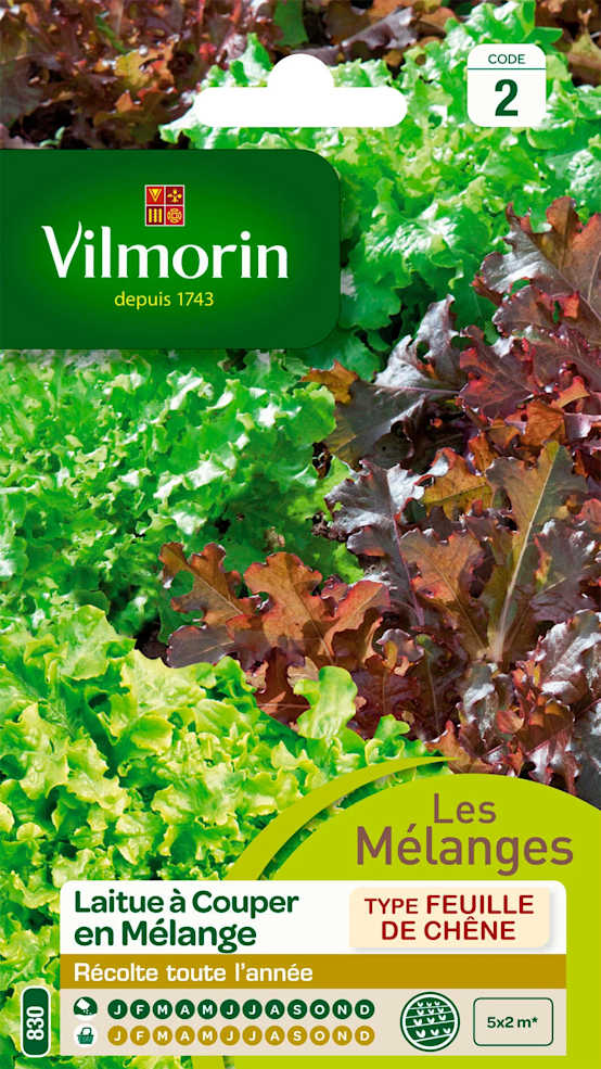 Laitue à couper en mélange bowl verte et rouge série 2 sachet graines 4 ...