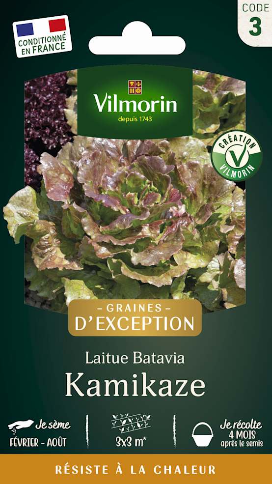 Laitue Batavia Kamikaze serie 3 sachet graines 4 g - Vilmorin - Gamm vert