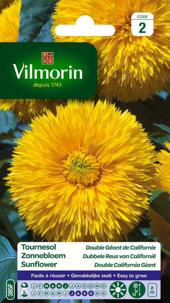 Tournesol double géant californie - VILMORIN - Gamm vert