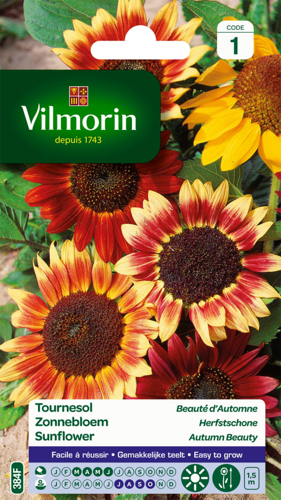 Graines Tournesol Beauté d'Automne Jaune Rouge 3 g - VILMORIN - Gamm vert