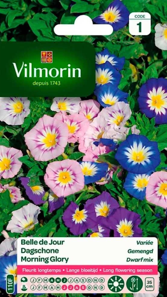 Belle de Jour Variée serie 1 sachet graines 4 g - Vilmorin - Gamm vert