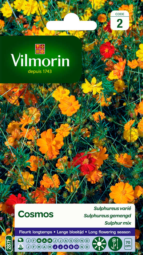Cosmos Sulphureus varie série 2 sachet graines 1,5 g - Vilmorin - Gamm vert