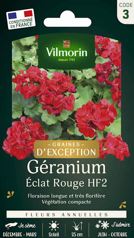 Géranium Eclat Rouge HF2 serie 3 sachet graines 0,4 g - Vilmorin - Gamm ...