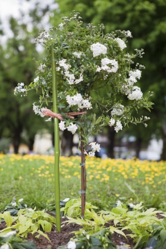 Tuteur plastifié en bambou vert - L.150 x l.1,2 x H.150 cm - Gamm vert