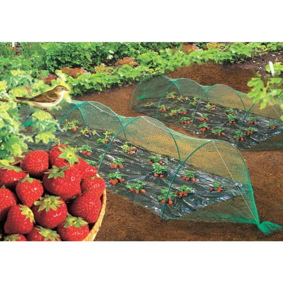 Birdnet - Filet de protection oiseaux L.10 x l.8 m - Gamm vert