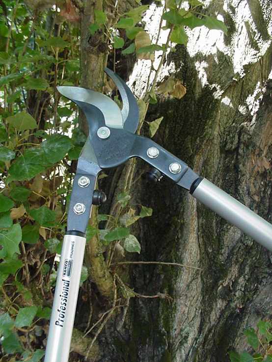 Ebrancheur professionnel P19-80-F BAHCO - Gamm vert