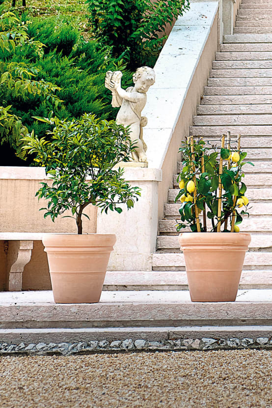 Pot de fleurs terre cuite DEROMA - Gamm vert