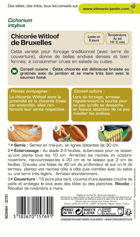 Chicorée witloof endive de Bruxelles série 2 sachet graines 2 g ...