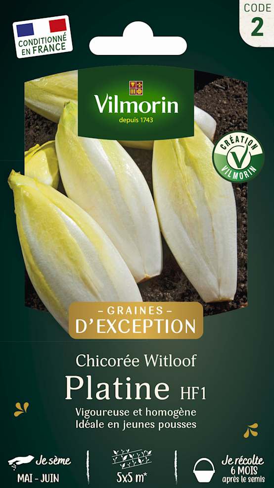 Chicorée witloof endive de Bruxelles série 2 sachet graines 2 g ...
