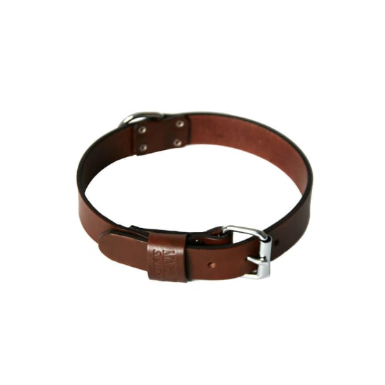 Collier pour Chiens MARTIN SELLIER - Gamm vert