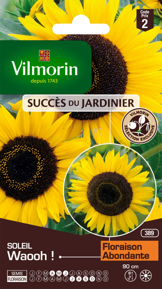Graines de tournesol Waooh! jaune - VILMORIN - Gamm vert