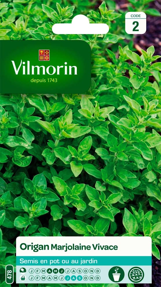 Marjolaine vivace origan série 2 sachet graines 1 g - Vilmorin - Gamm vert