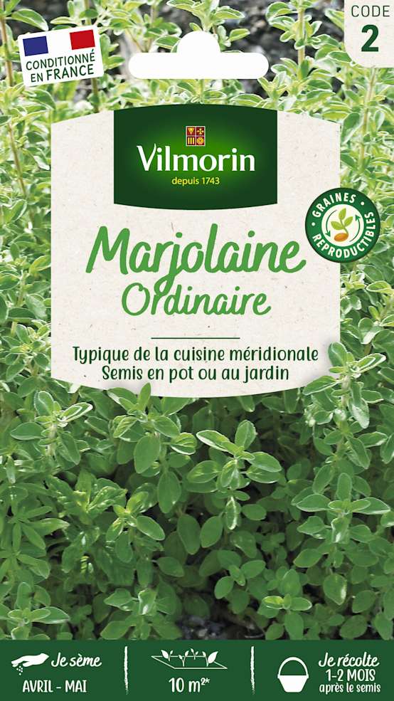Marjolaine ordinaire série 2 sachet graines 1,5 g - Vilmorin - Gamm vert