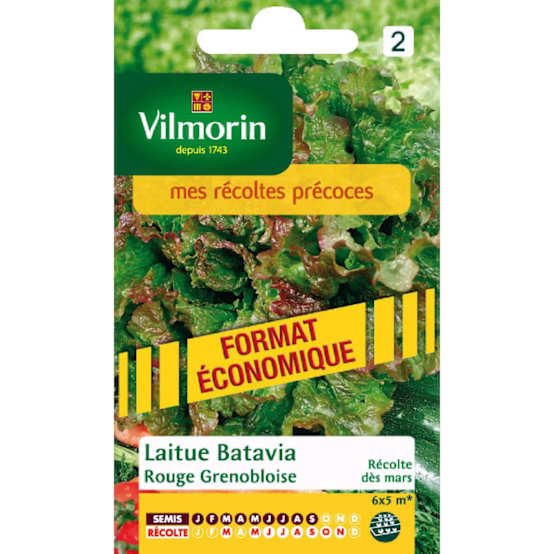 Laitue batavia rouge grenobloise format éco série 2 sachet graines 10 g ...
