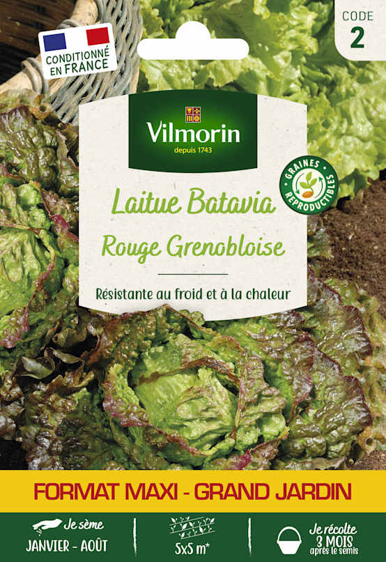 Laitue batavia rouge grenobloise format éco série 2 sachet graines 10 g ...