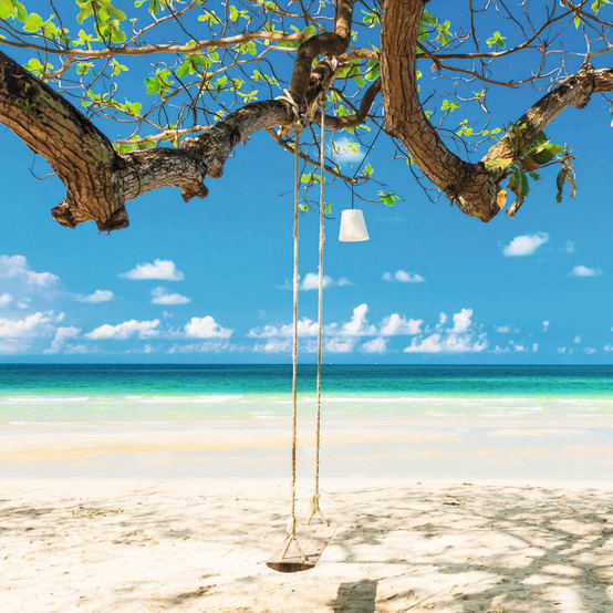 Cartes double 16 x 16 - Gamm vert