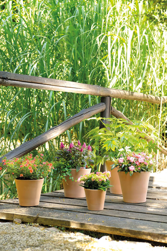 Pot Cono White Terre Cuite Terre Rosée - DEROMA - Gamm vert