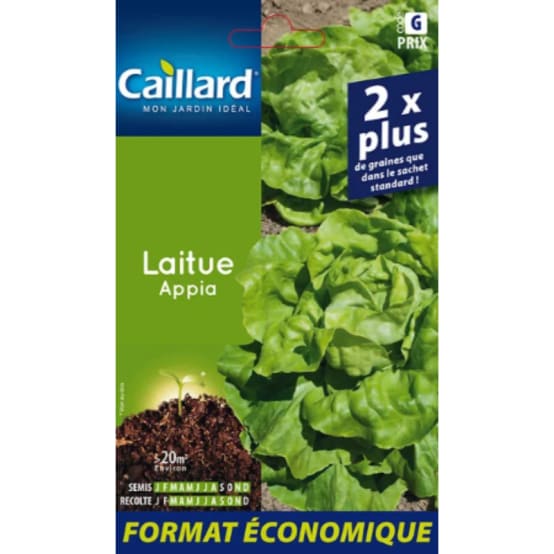 Graines laitue pommée Appia - CAILLARD - Gamm vert