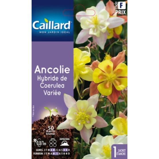 Graines Ancolie De Coerulea Variée - - Gamm vert