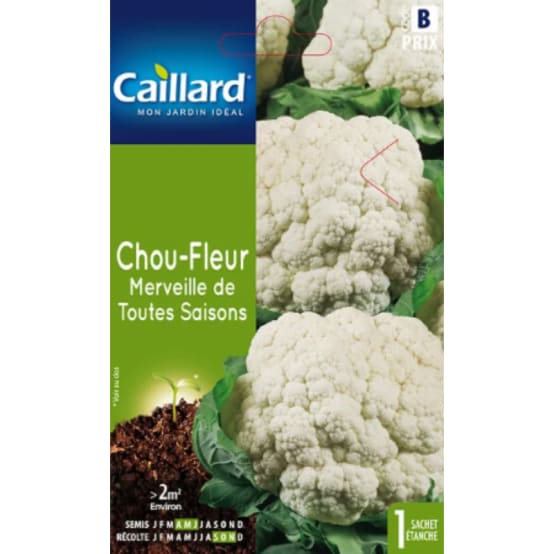 Graines Chou-Fleur - CAILLARD - Gamm vert