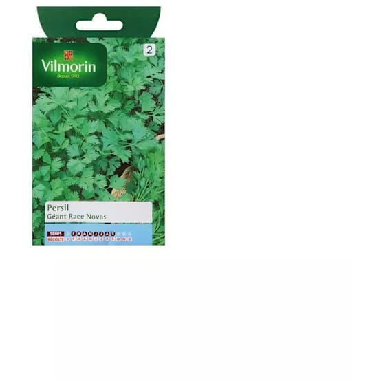 Persil Gigante d'Italia race Novas serie 2 sachet graines 5 g ...