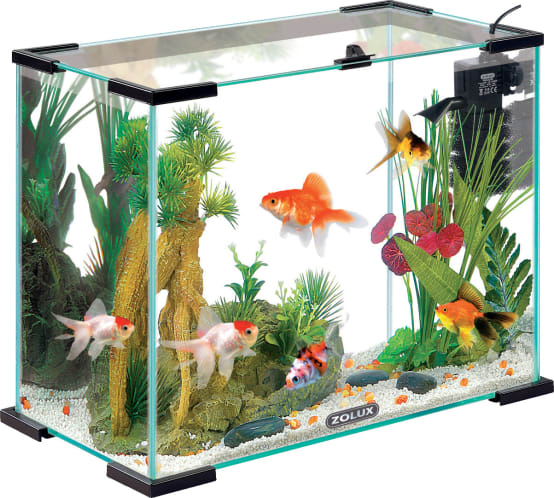 Zolux - Aqua Nanolife First 24 Noir L.20 x l.40 x H.32 cm - Gamm vert