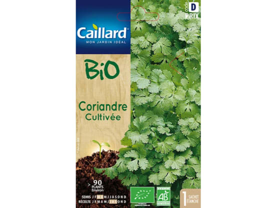 Plante condimentaire herbacée persil chinois 60-80 cm - CAILLARD - Gamm ...