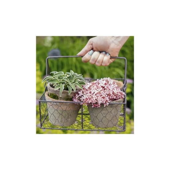 Lot de pots - ROBERT STEVENS & POTTERS - Gamm vert