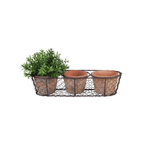 Lot de 3 pots et panier – ROBERT STEVENS & POTTERS - Gamm vert