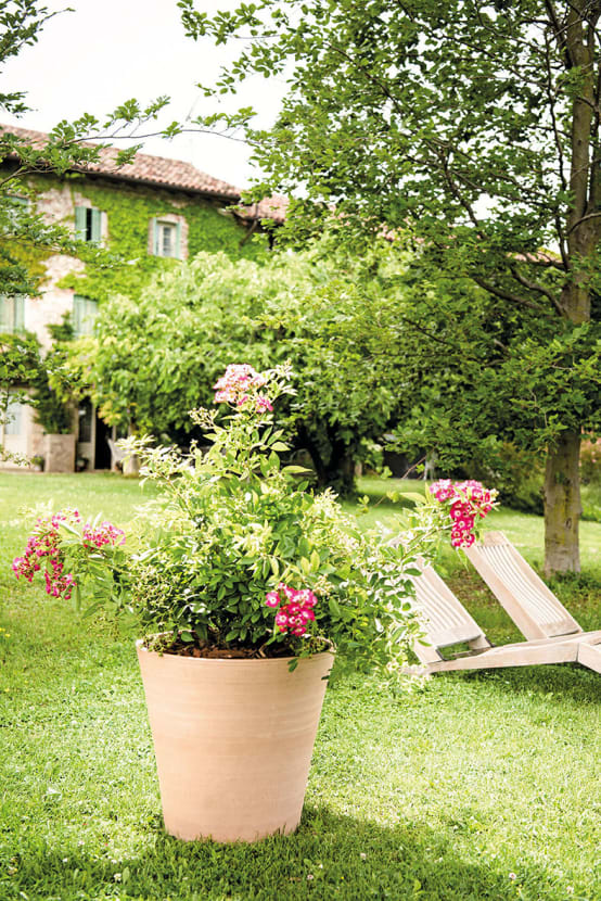 Pot Conico Primitivo DEROMA - Gamm vert