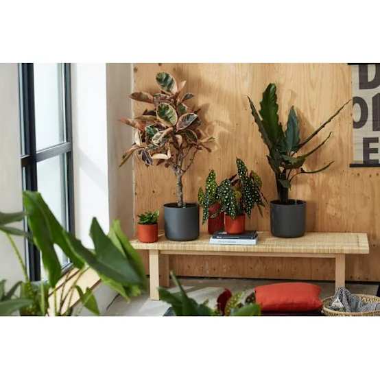 Cache Pot De Fleur Rond - ELHO - Gamm vert