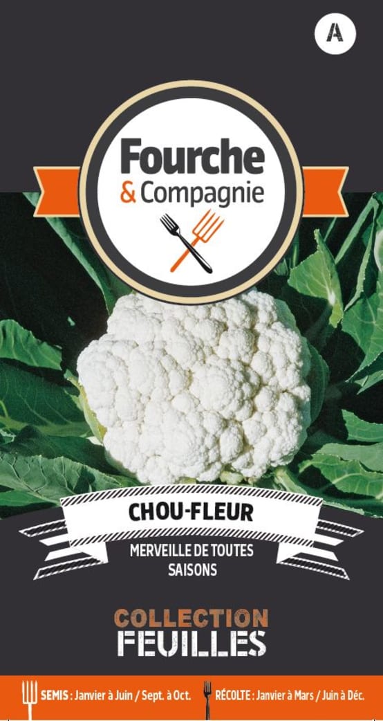 Graines de Chou-fleur merveille de toutes saisons - Gamm vert
