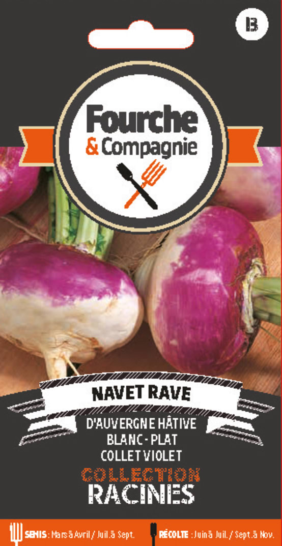 Fourche & Cie - Graines de Navet rave d'Auvergne hâtive - Gamm vert