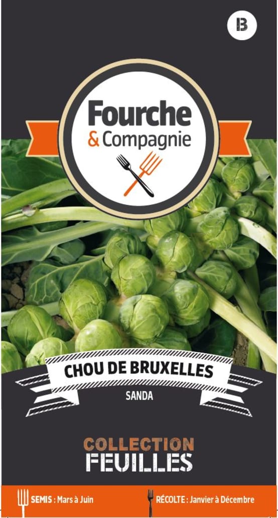 Graines de Chou de Bruxelles sanda - Gamm vert