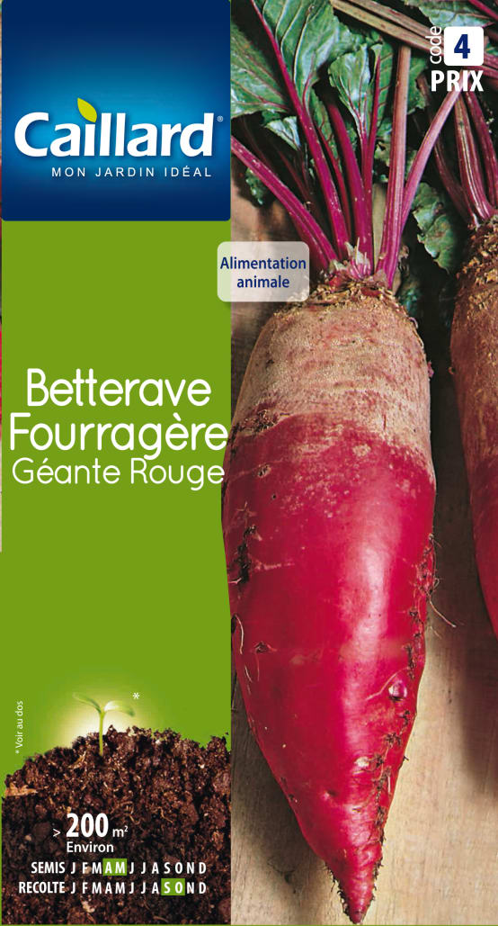 Betterave fourragère géante rouge alimentation animale - CAILLARD ...